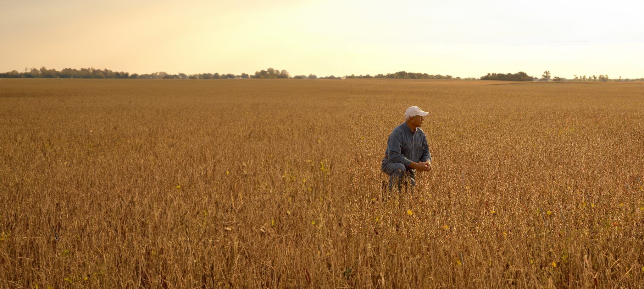 Farmers Deliver Sustainability & Conservation - Indiana Corn and Soy